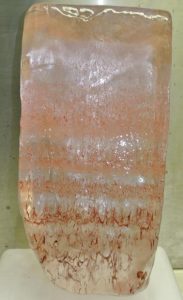 Appendix A. Visual Guide to Common Harmful Cyanobacteria – HCB-1